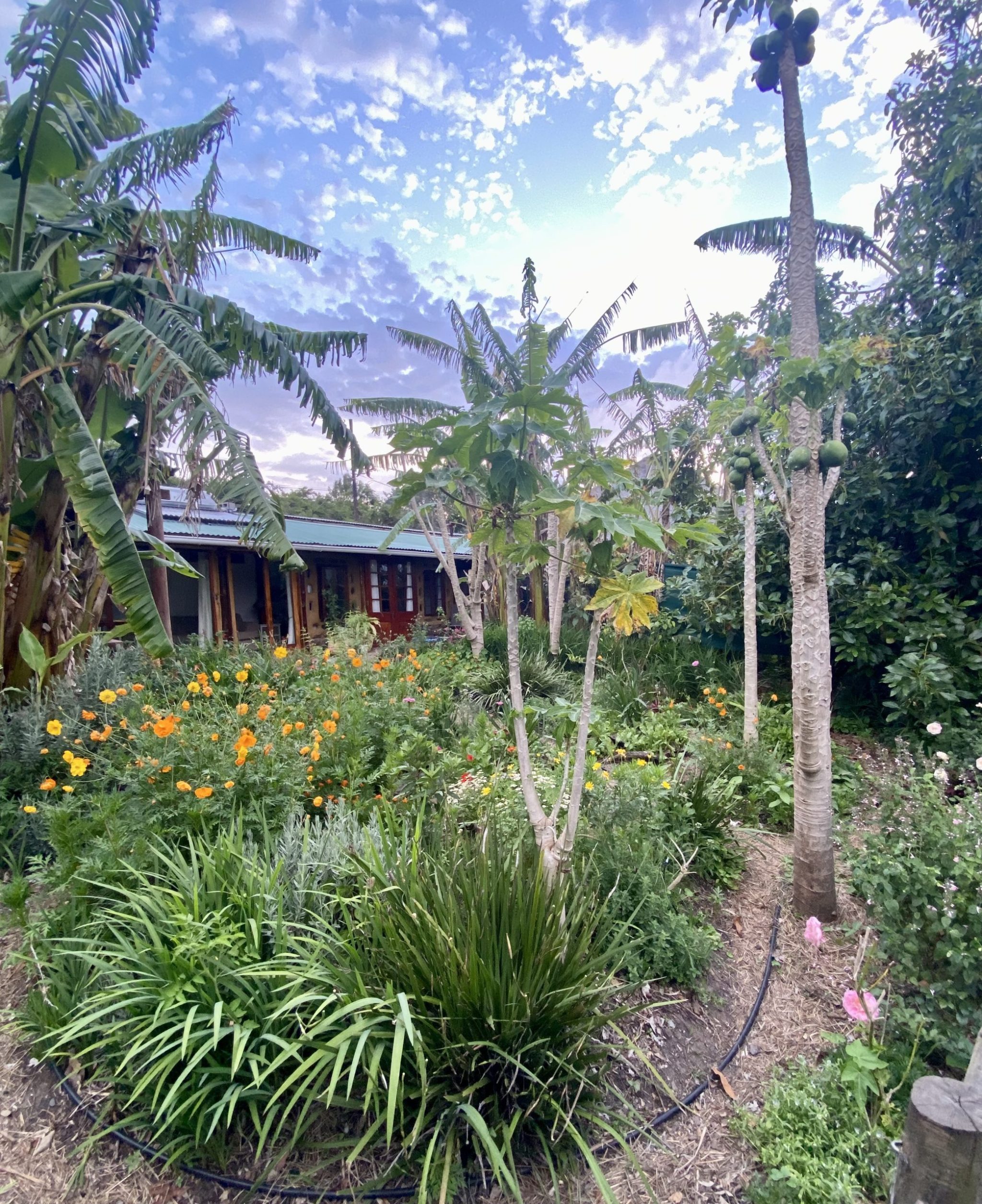 Oregon Cottage - Morgan Bay Tourism