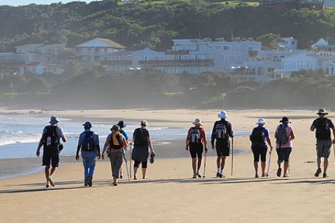 Play - Morgan Bay Tourism