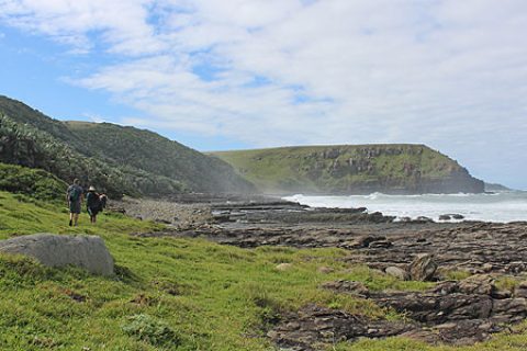 Play - Morgan Bay Tourism