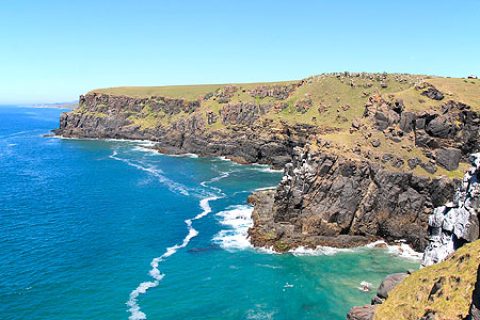 Play - Morgan Bay Tourism