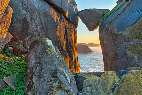 Play - Morgan Bay Tourism