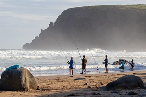 Play - Morgan Bay Tourism